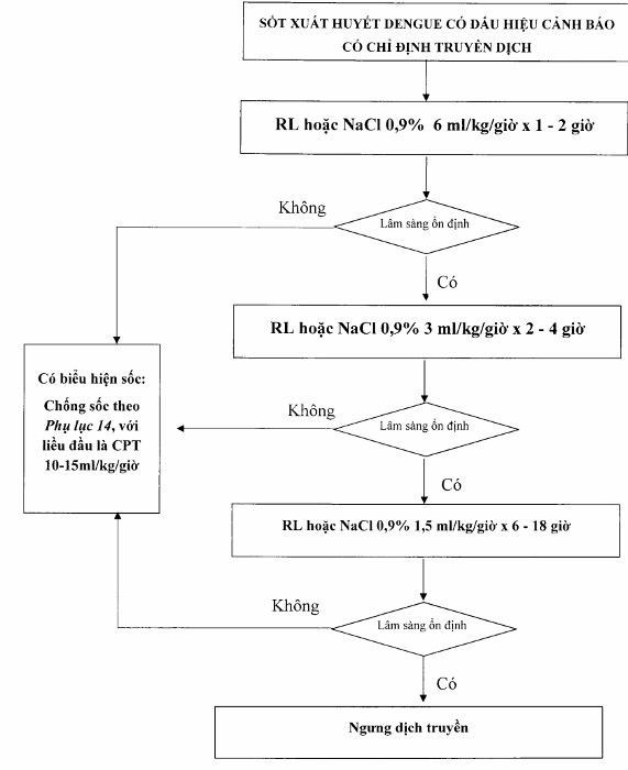 CHẨN ĐOÁN VÀ ĐIỀU TRỊ SỐT XUẤT HUYẾT DENGUE NGƯỜI LỚN